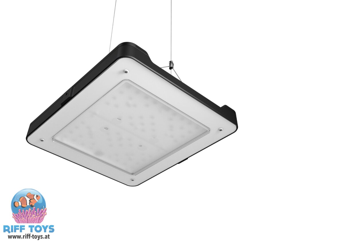 Philips Coral Care 2020 schwarz - LED Lampe kaufen - Riff Toys Meeres ...